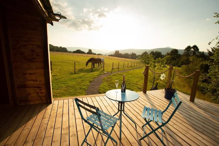 The Lily Pod - Abergavenny