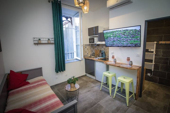 Studio Climatisé · Canal Du Midi · Carcassonne - Carcassonne