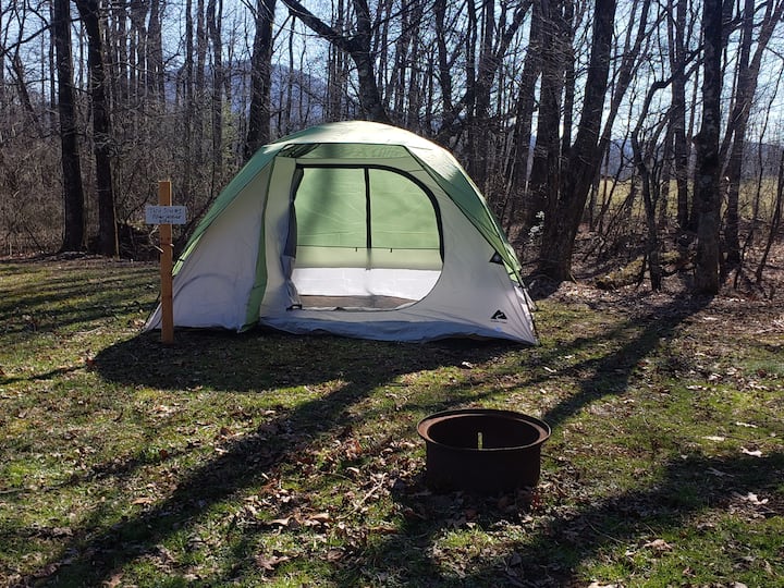 Tent Space – Assigned Spot With Electrical #4 - Suches, GA
