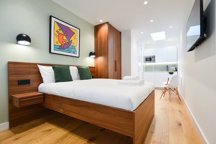 Modern Rear Ground Floor Studio In Shepherds Bush - London