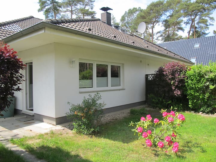 Enikö By Interhome - Lubmin
