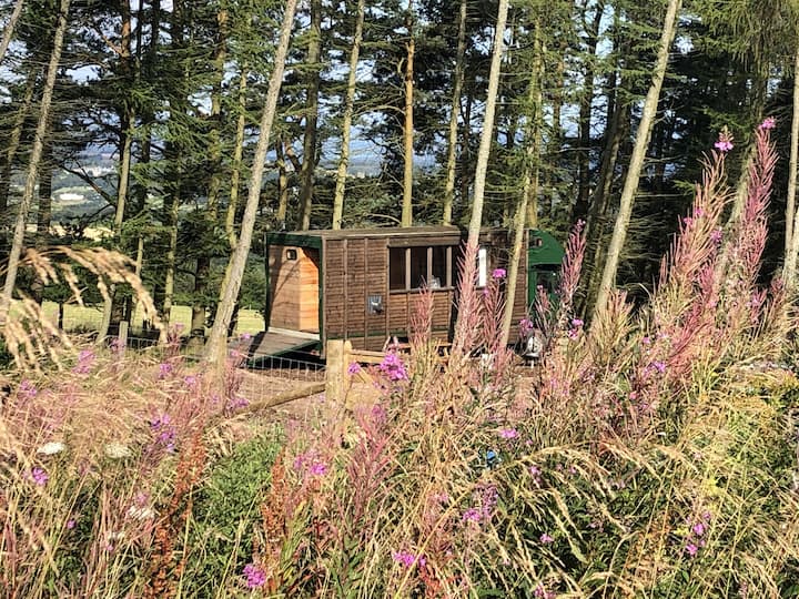 Juniper - Ensuite Cabin On Wheels With Wood Fired - Gleneagles