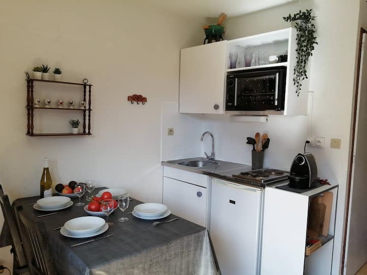 Studio Châtel, 1 Pièce, 4 Pers. - Châtel