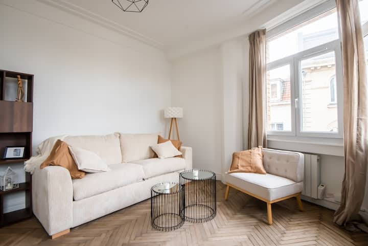 Grand Et Superbe Appartement En Plein Centre-ville - Lille