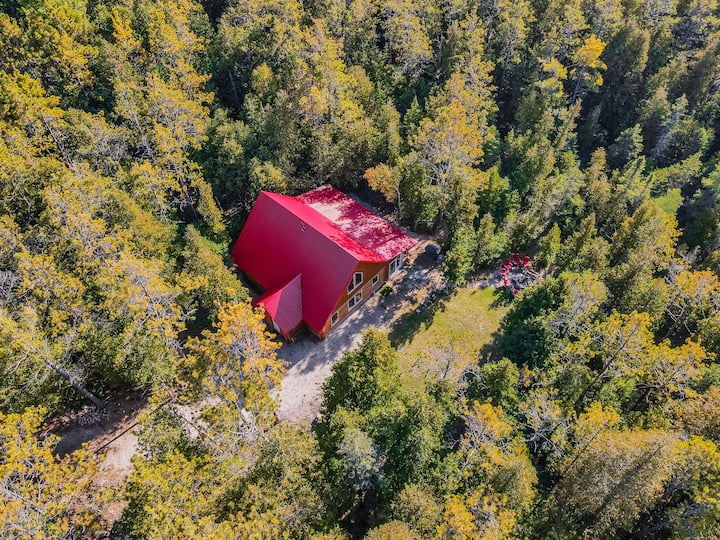 Forest Cabin By National Park & Tobermory - Tobermory