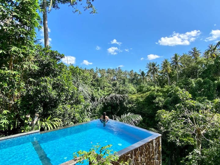Amazing Riverside Jungle View Villa In Ubud - Ubud