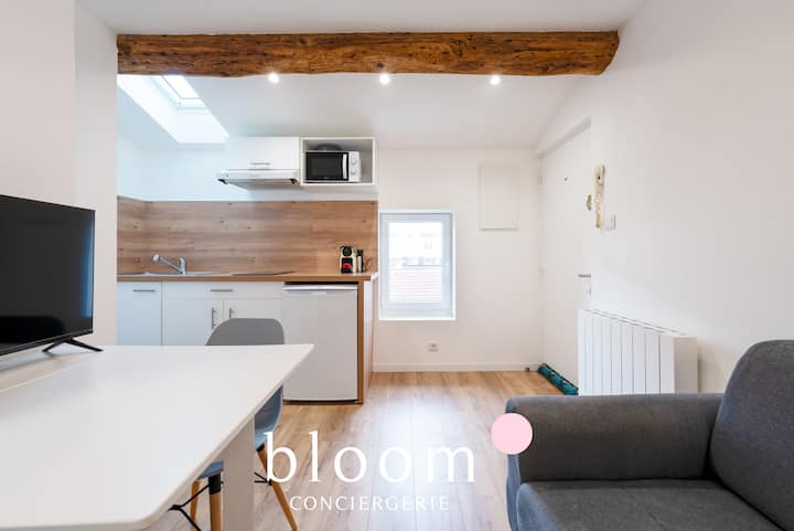 Magnifique Appartement Centre Ville - ibis Nancy Centre Sainte Catherine