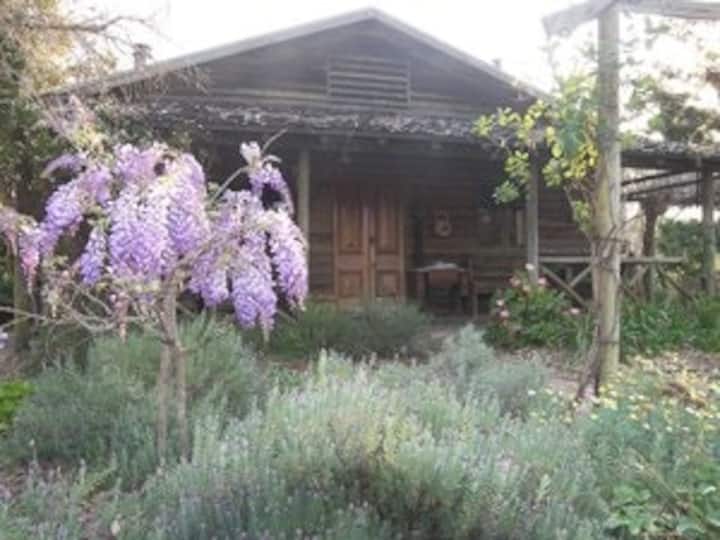 4 Bedroom Cottage With Deck Overlooking The Creek - Rathdowney