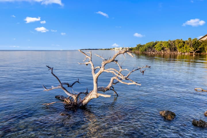 Family Getaway! 3 Relaxing Suites | Full Kitchen - Key Largo, FL