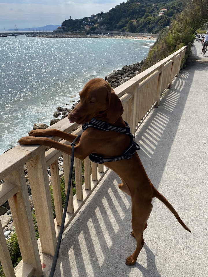 Oslo: Trade Fair/business/holiday Apartment - Leverkusen