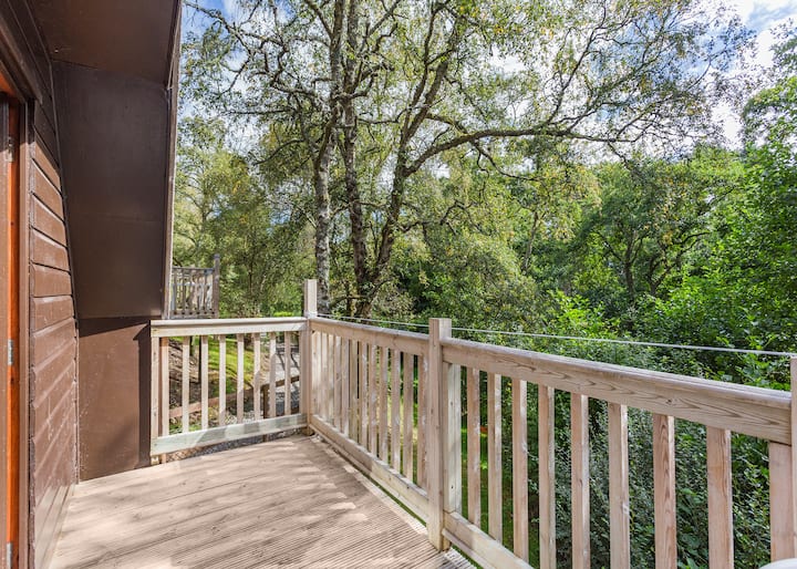 Highland Ranch Lodge - Tain