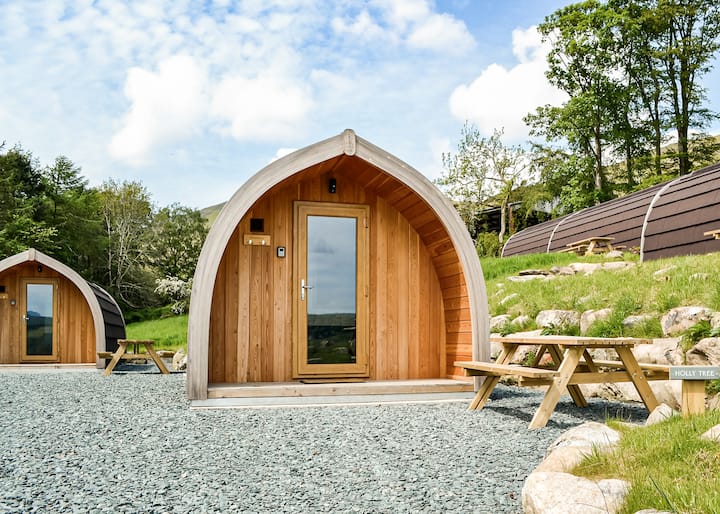 Holly Tree - Ullswater