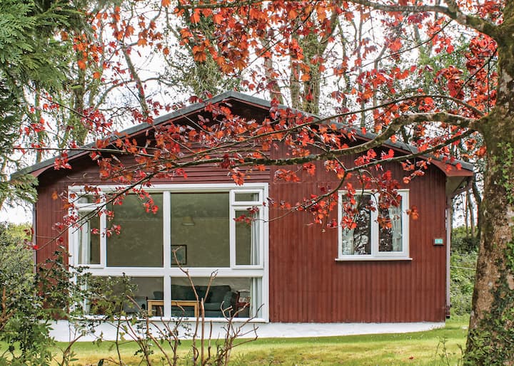 Beeches Bungalow - Bodmin
