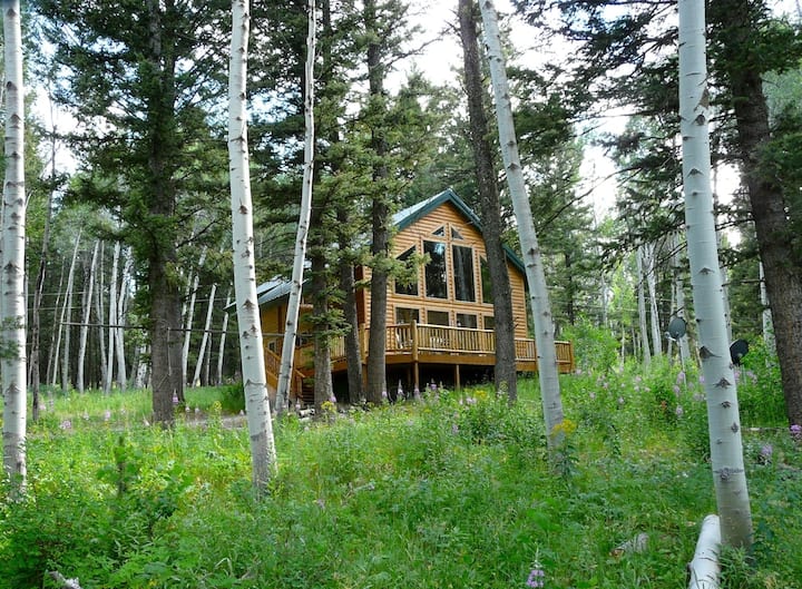 Mountain Lake Cabin - Henrys Lake, ID