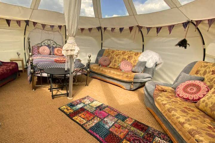 Glamping With Llamas In Valentina Stargazer Belle - Wisbech
