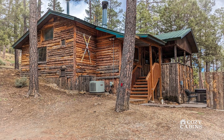 Cozy Woods Cabin - Ruidoso, NM