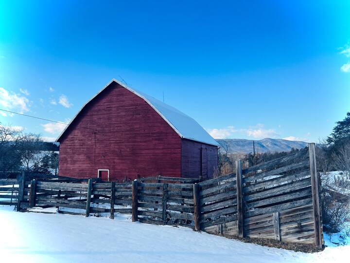 Farmhouse On Ranch! Fireplaces, Cattle & Horses - Luray, VA
