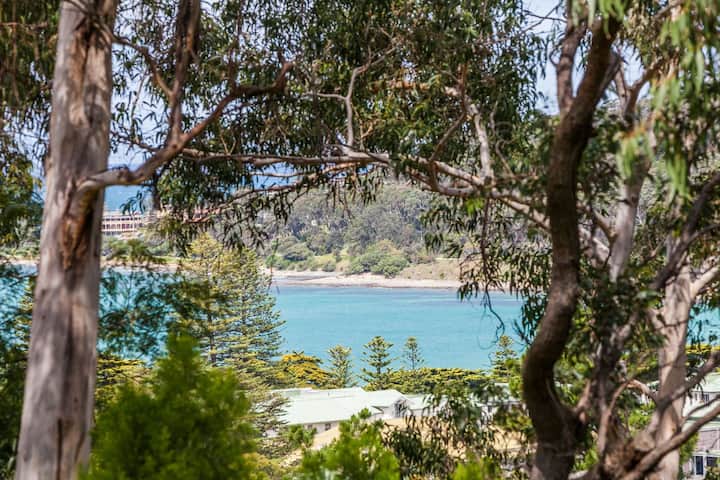 Waverley Retreat - Lorne