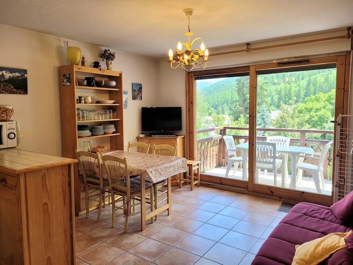 At The Feet Of The Ski Slopes- Flat  4 People - Chantemerle
