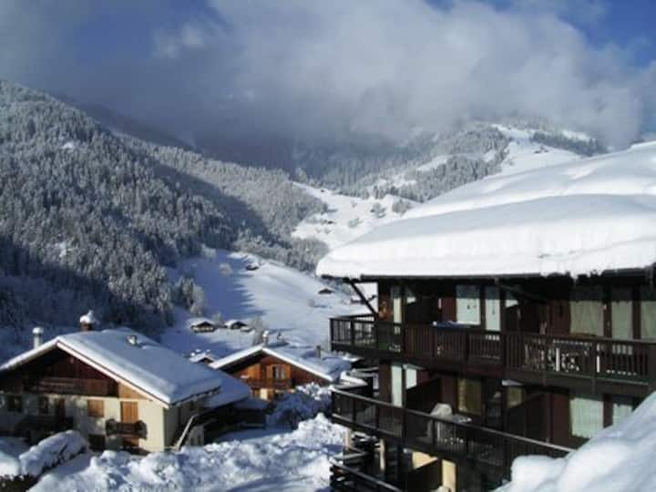 Very Cozy 26 M² Studio Cabin For 4 People - Areches Beaufort