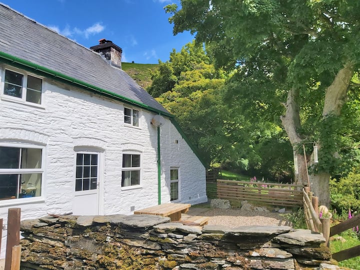 Tynllidiart Farmhouse - Rhayader