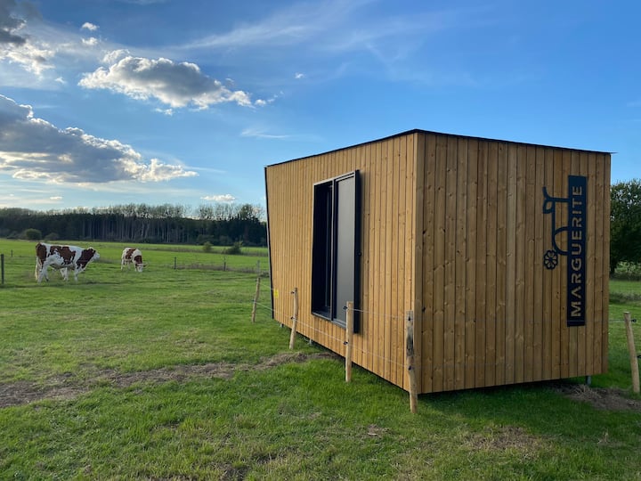 Cyclodges -  Marguerite - Marche-en-Famenne