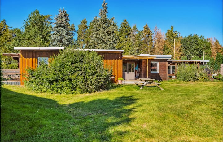 Pet Friendly Home In Zeulenroda-triebes - Zadelsdorf