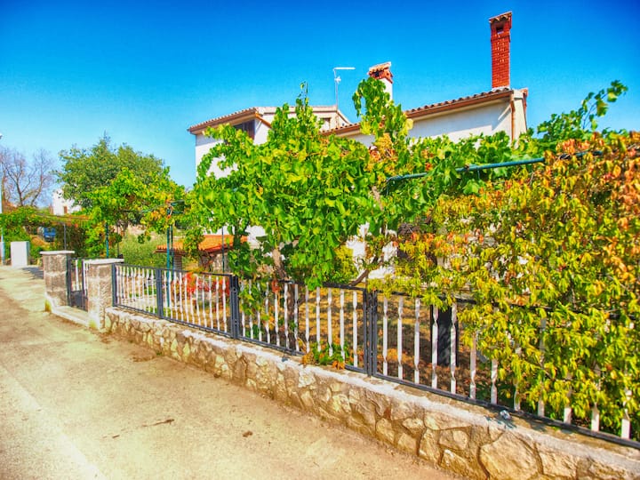 Apartment 157/336 - Pula
