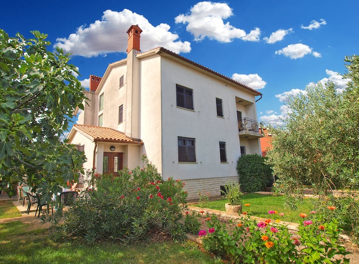 Apartment 442/1013 - Pula