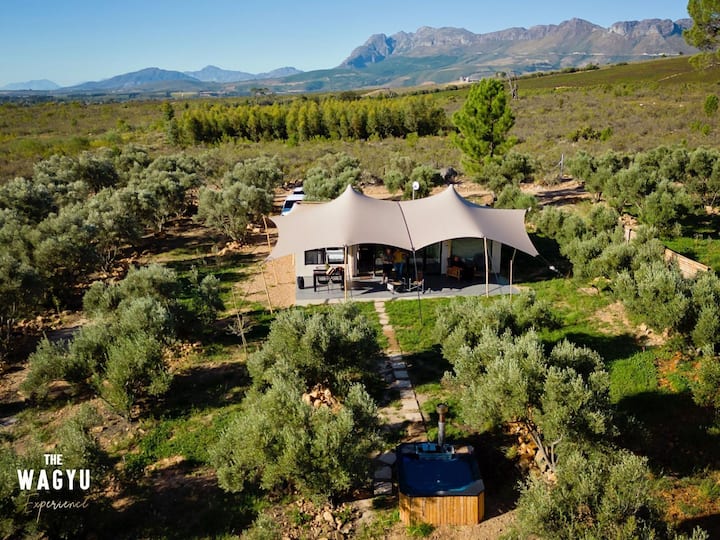 Wagyu Mountain Lodge - Olive Lodge - Paarl
