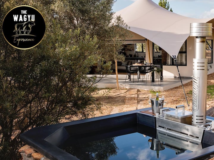 Wagyu Mountain Lodge - Rock Lodge - Paarl