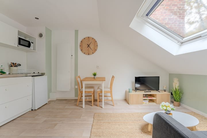 Studio Lumineux Pour 2 : Lille Centre - ibis budget Lille Centre