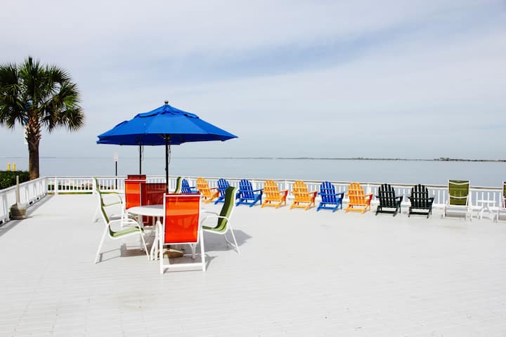 Great Location! Free Parking, Balcony, Pool - Tampa, FL