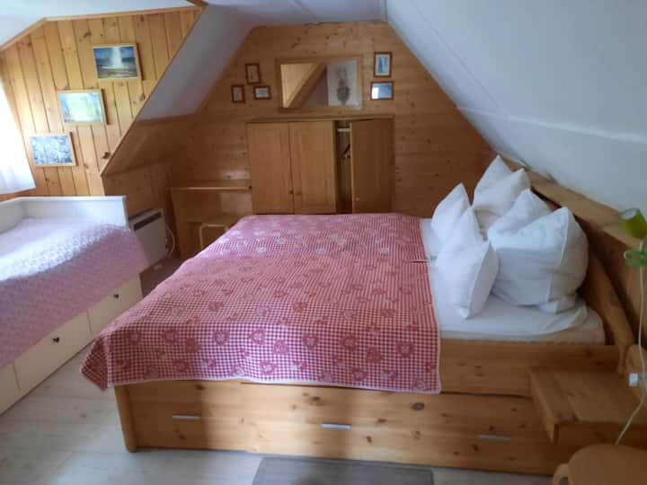 Ferienhaus Mit Garten (Ferienhaus St. Egidien) - Altenberg