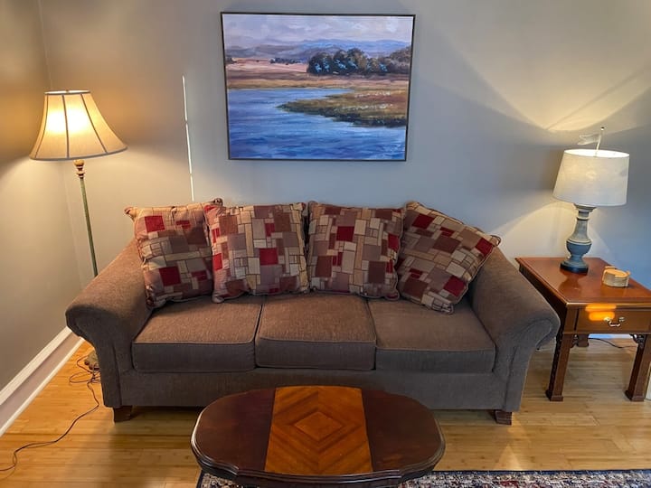 Bryn Mawr * Spacious Grnd Floor Apt Free Parking * - Conshohocken, PA