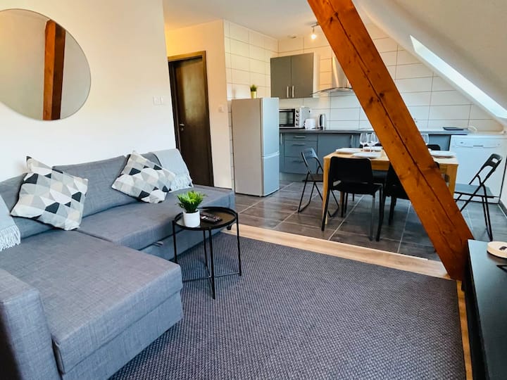 Duplex Apartment In Alsace (Fr) - Bâle