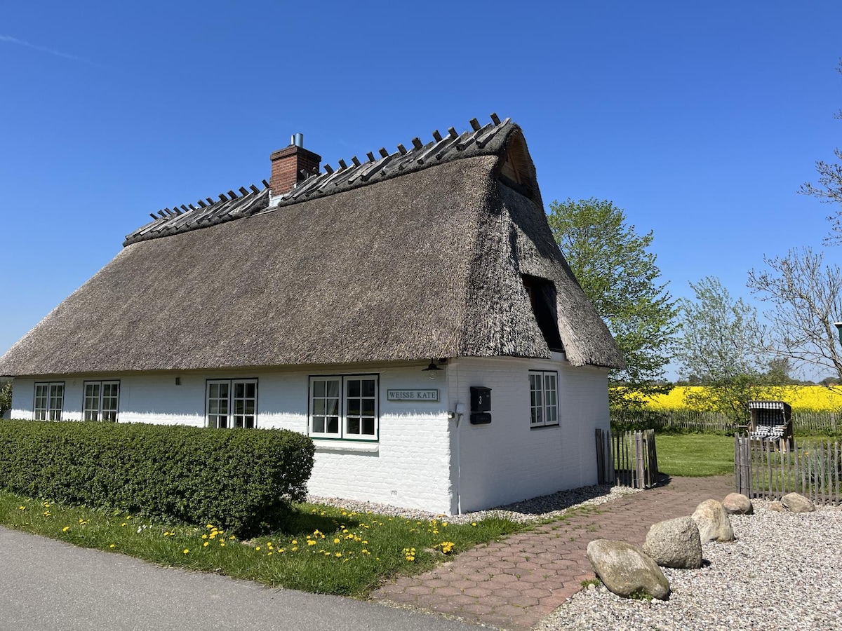 Luxury thatched cottage (2024 full renovation) with fireplace, - Houses ...