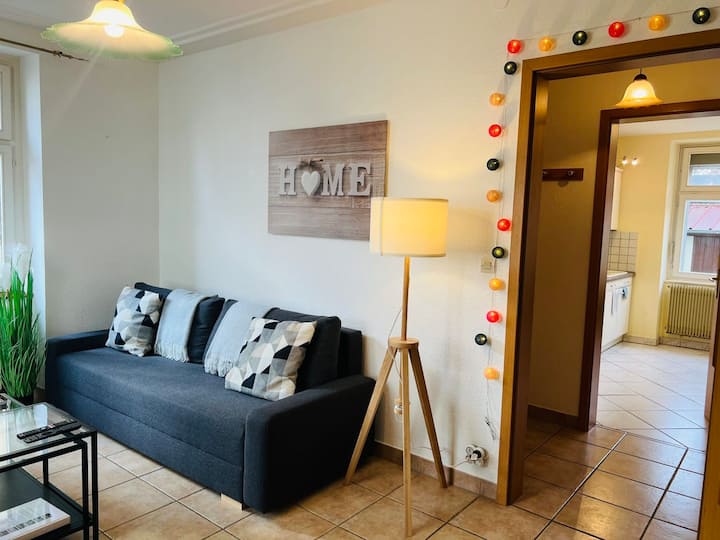 Gf Central 2 Br W/ Living Room + 5mn From Basel - Basel