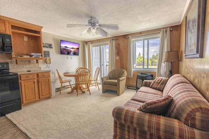 Ml 215: Comfy 1br Bike-in/out Summer Retreat! - Snowshoe, WV