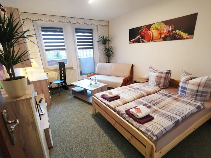 Ferienwohnung/app. Für 2 Gäste Mit 36m² In Meißen (165755) - Coswig