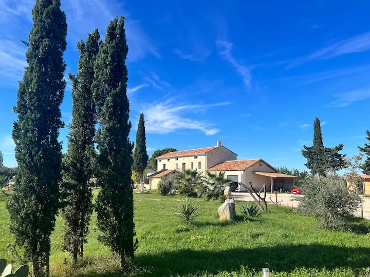 Mas Delorme 2 - Arles