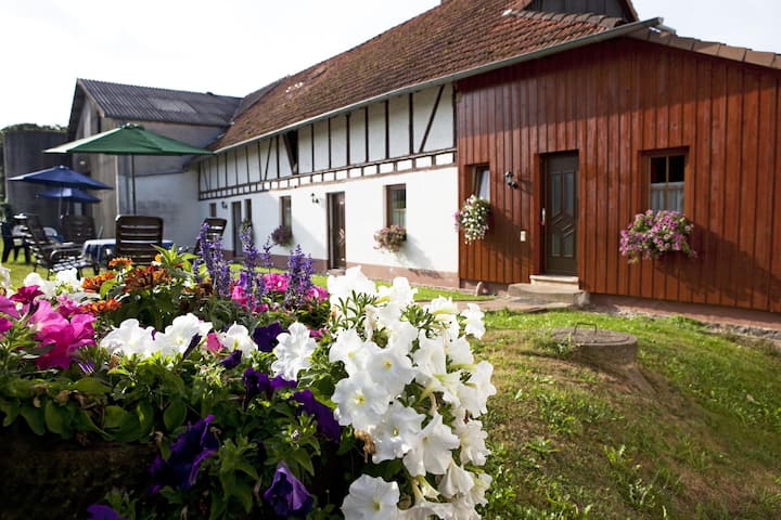 Elsbacher Hof-ferienwohnung Feld-wald-wiese - Erbach