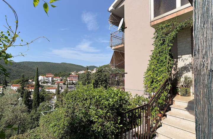 Apartment 650/1557 - Rabac