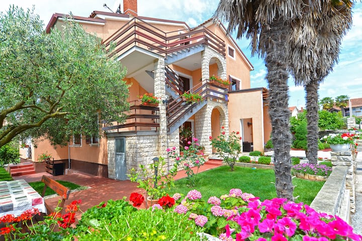 Apartment 167/364 - Novigrad