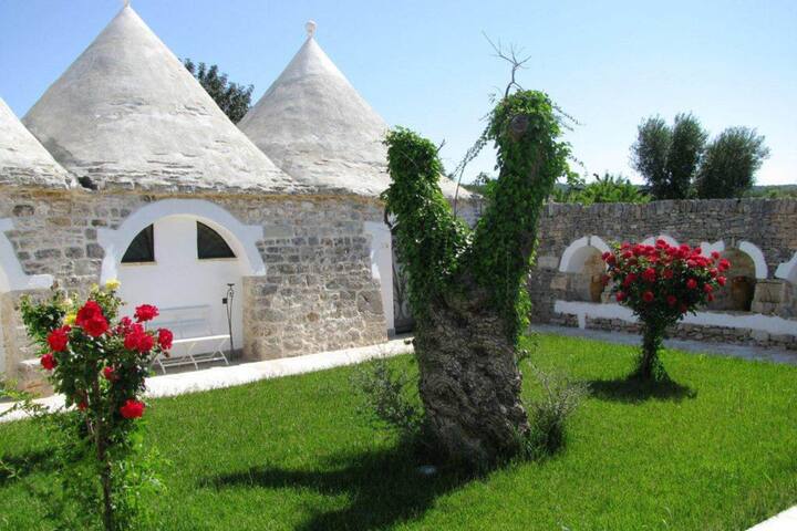 Trullo Di Nonna Cecca - Happy Rentals - San Vito dei Normanni