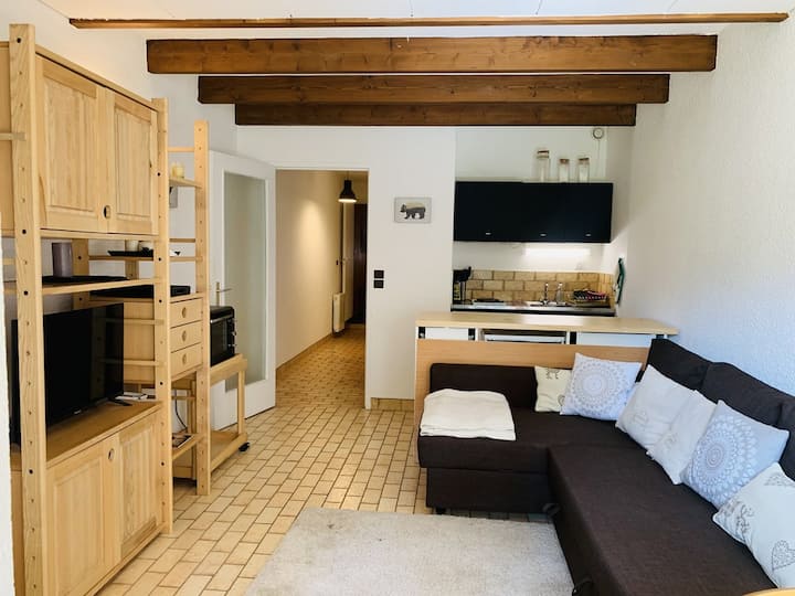 2 Pièces Cabine 6 Pers 6 Couchages Villard De Lans - Lans-en-Vercors