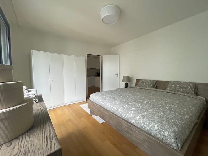 New Apt. In A Perfectly Connected Location - Bâle