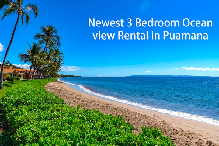 Elegant Remodel 3 Bed 3 Bath W Ac With Ocean View. - Lahaina, HI