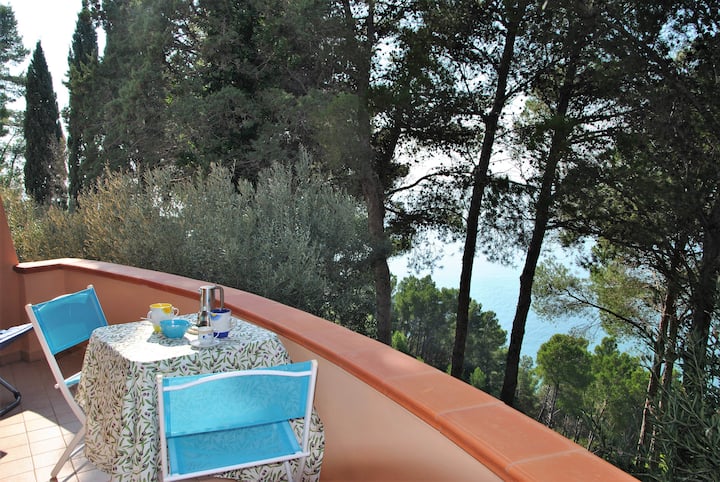 La Sirenetta Sea View Apartment - Gaeta