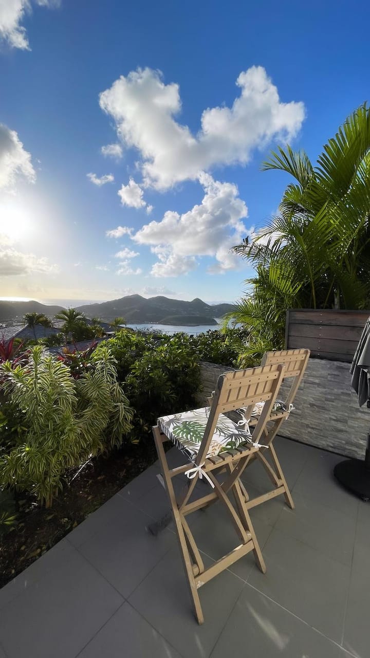 Les Oursins - Saint Barthélemy